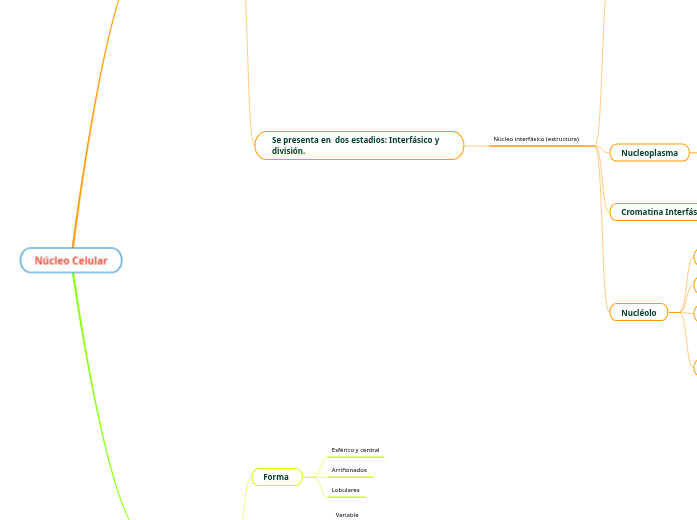 Núcleo Celular - Mind Map